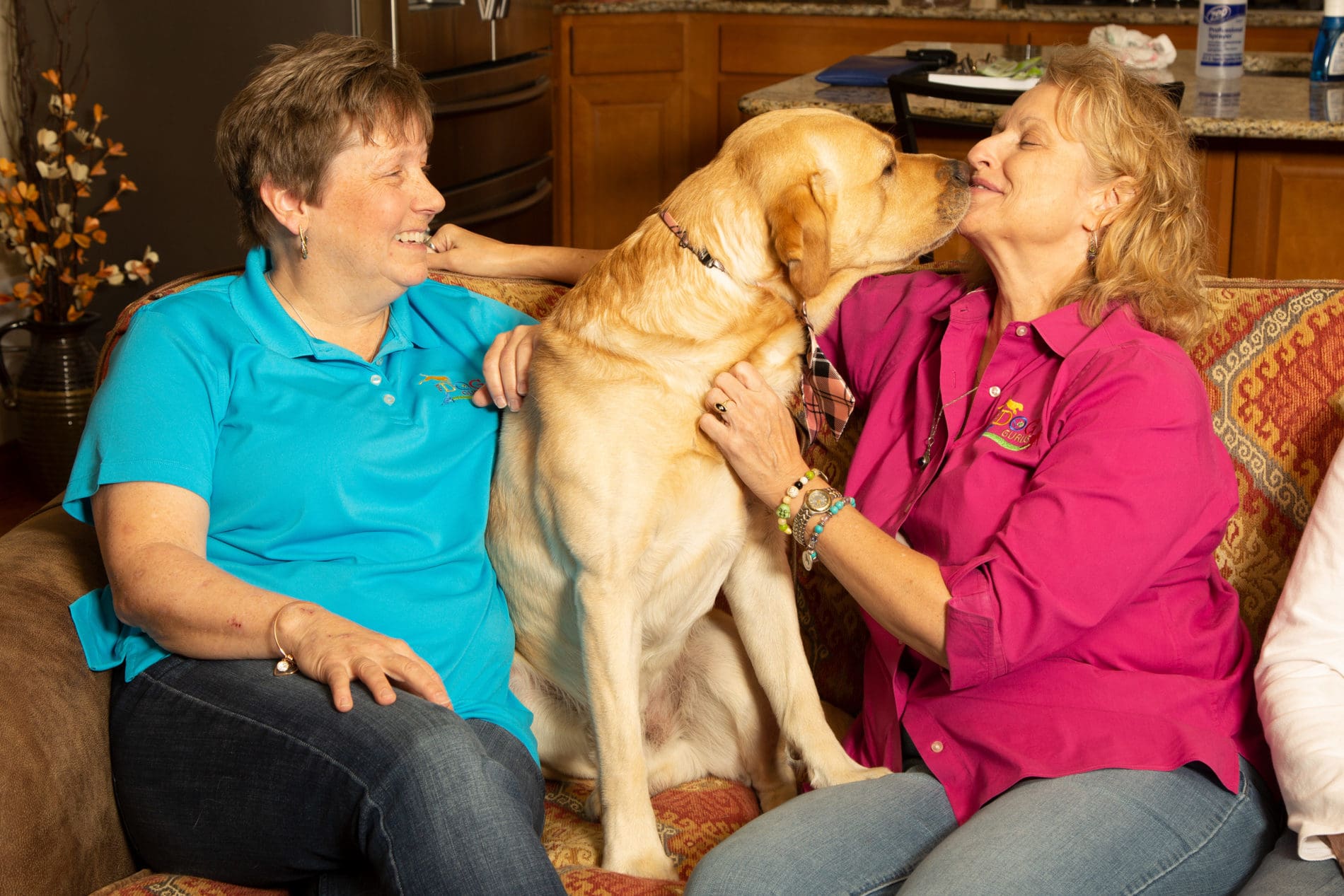 Contact Us - The Dog Gurus